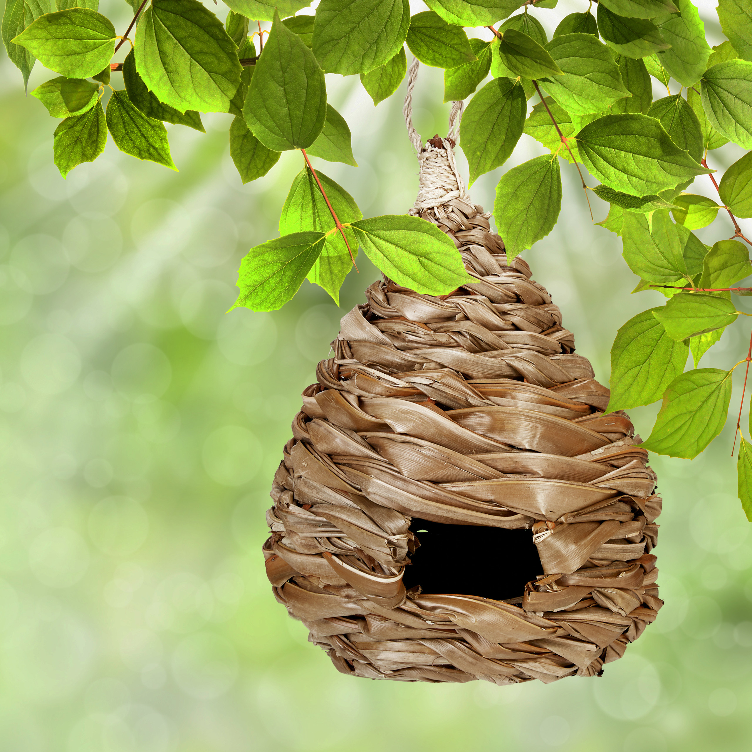 BIRD NEST BIRDHOUSE Bird Hide Nest Box Coconut Bird Nest Box Birdhouse 10 07 PicClick UK